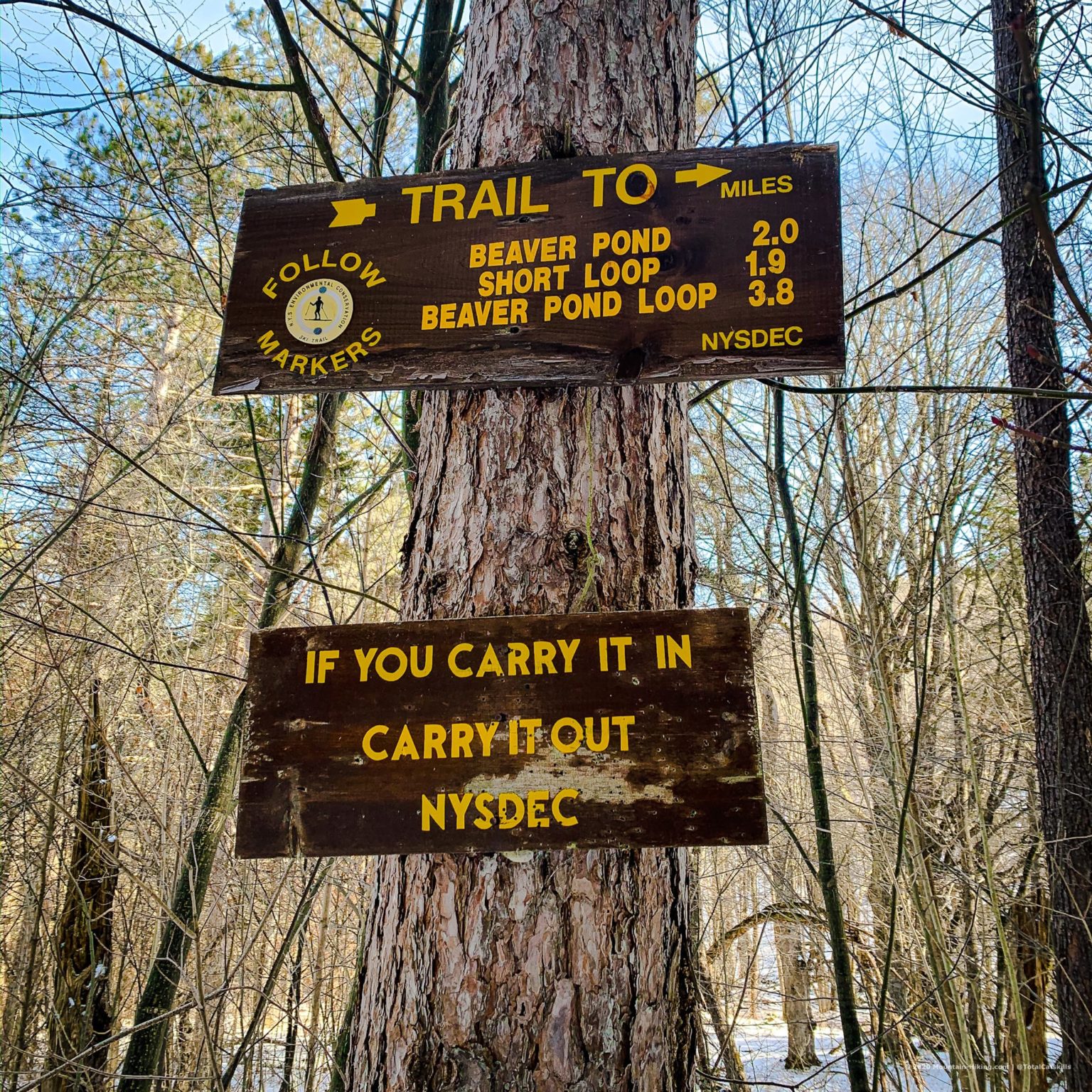 Kelly Hollow Loop | Easy Catskills Hiking Trail