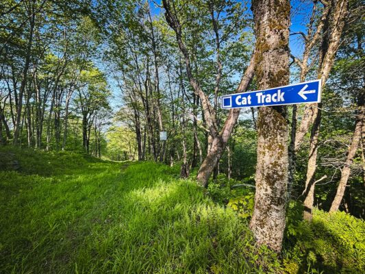 Hike Plattekill Mountain Ski Resort | Mountain-Hiking.com